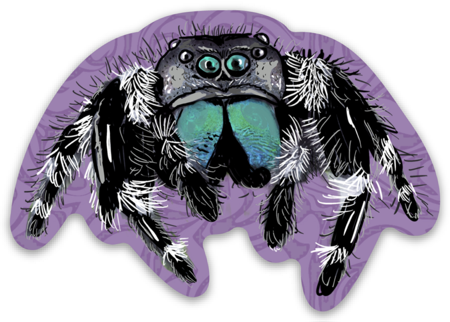 Jumping Spider on Purple Vinyl Sticker – Sipsey Wilder