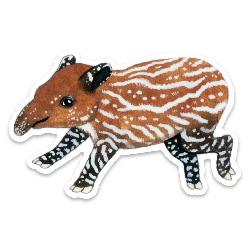 Baby Tapir Vinyl Sticker – Sipsey Wilder