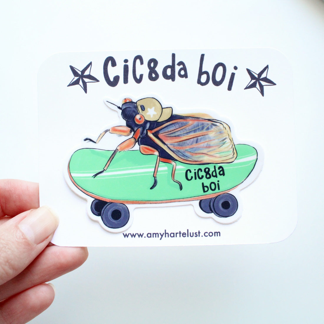 Cic8da Boi Sticker Vinyl Sticker – Sipsey Wilder